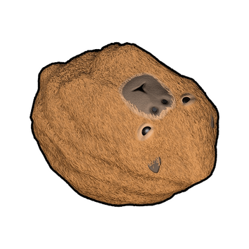 Capybara Rock Skin | CS2, Rust, Dota 2 Items