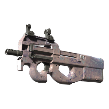 P90 | Wash me | Detailed Overview | Updated