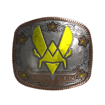 Sticker | Vitality (Foil) | Austin 2025 Skin | CS2, Rust, Dota 2 Items